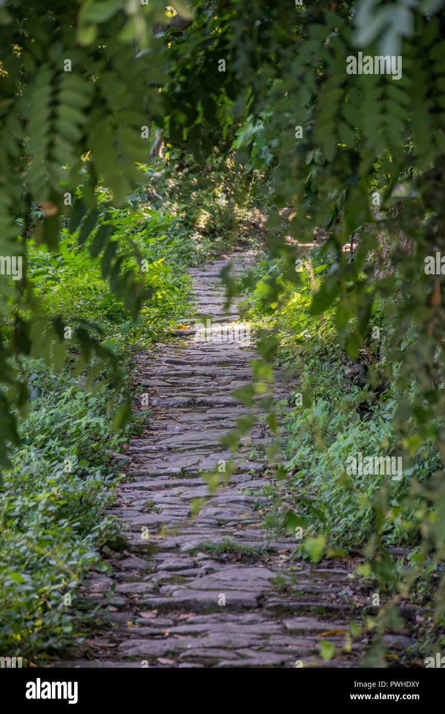 Tsagkarada, Pelion, Greece Stock Photo - Alamy