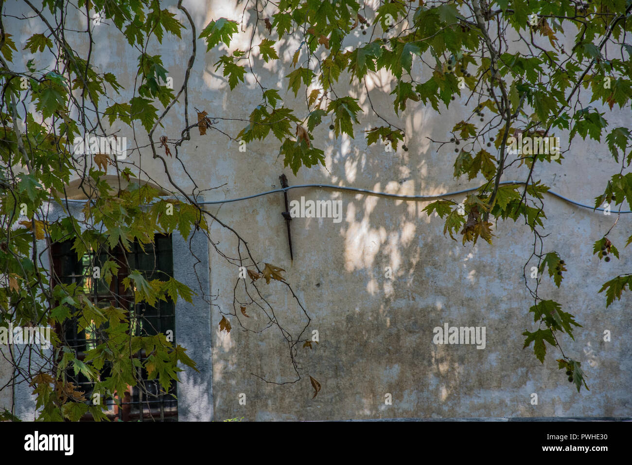 Tsagkarada, Pelion, Greece Stock Photo - Alamy