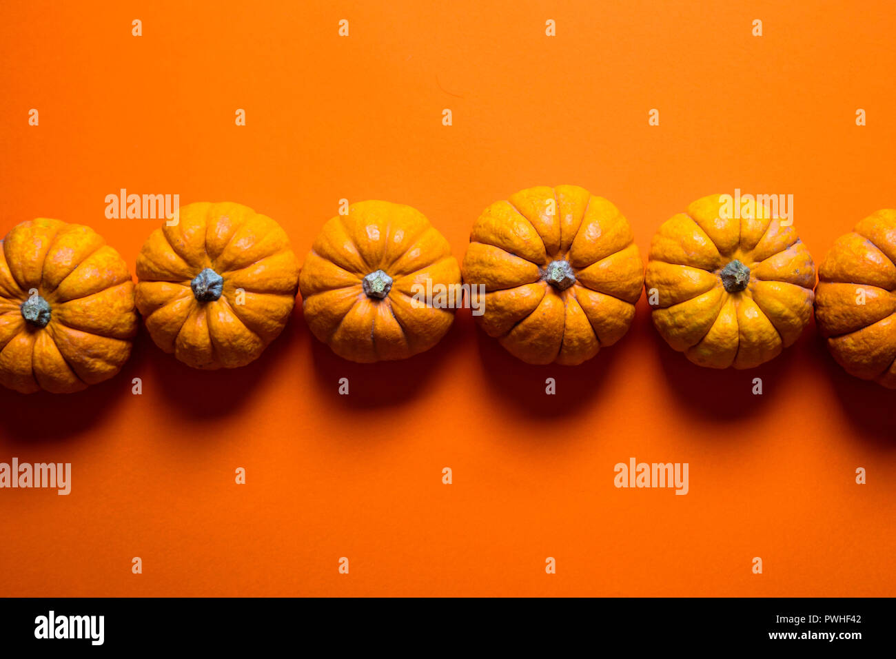Small pumpkins on a bright orange backdrop. Halloween and thanksgiving ...