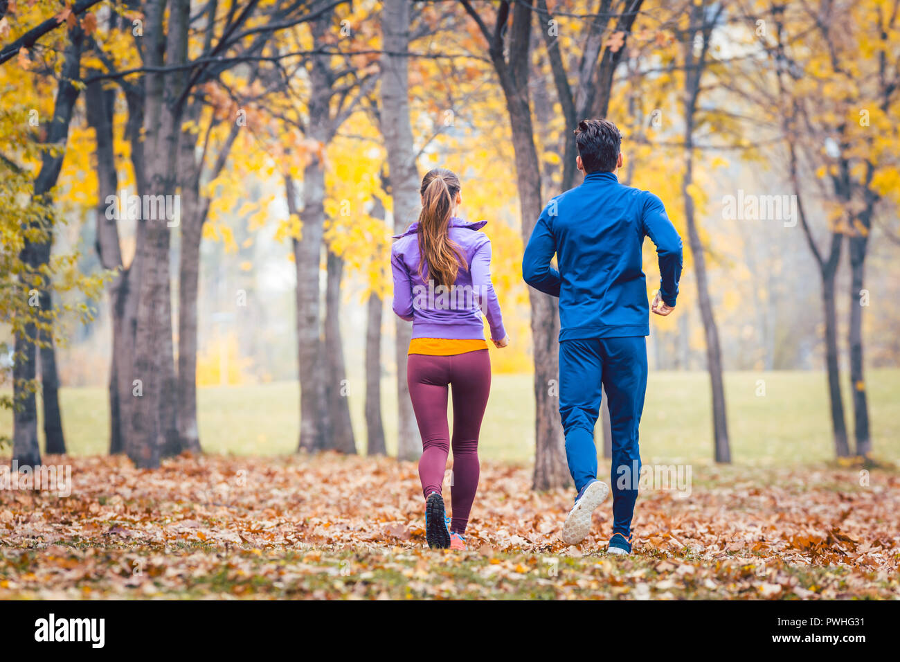 Couple jogging in colorful foliage, seen from behind Stock Photo - Alamy