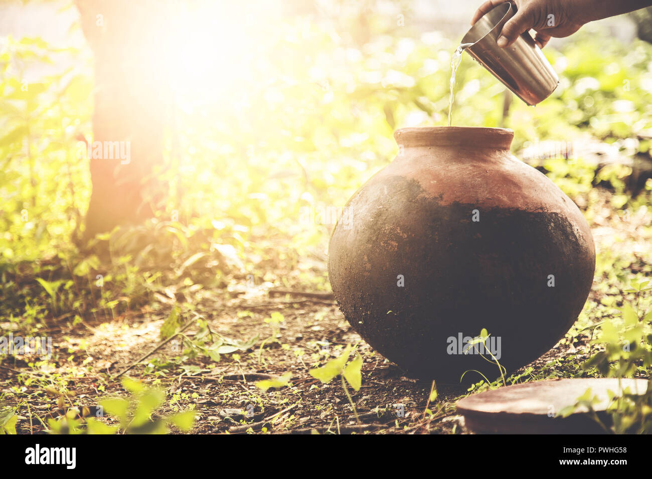 Man drinking water from clay pot stored below the tree during summer ...
