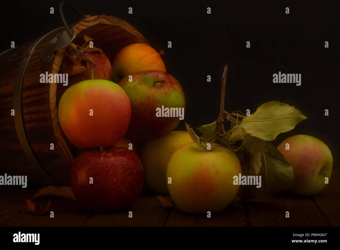 Wooden bucket of assorted apples turned over with apples spilling ot of ...