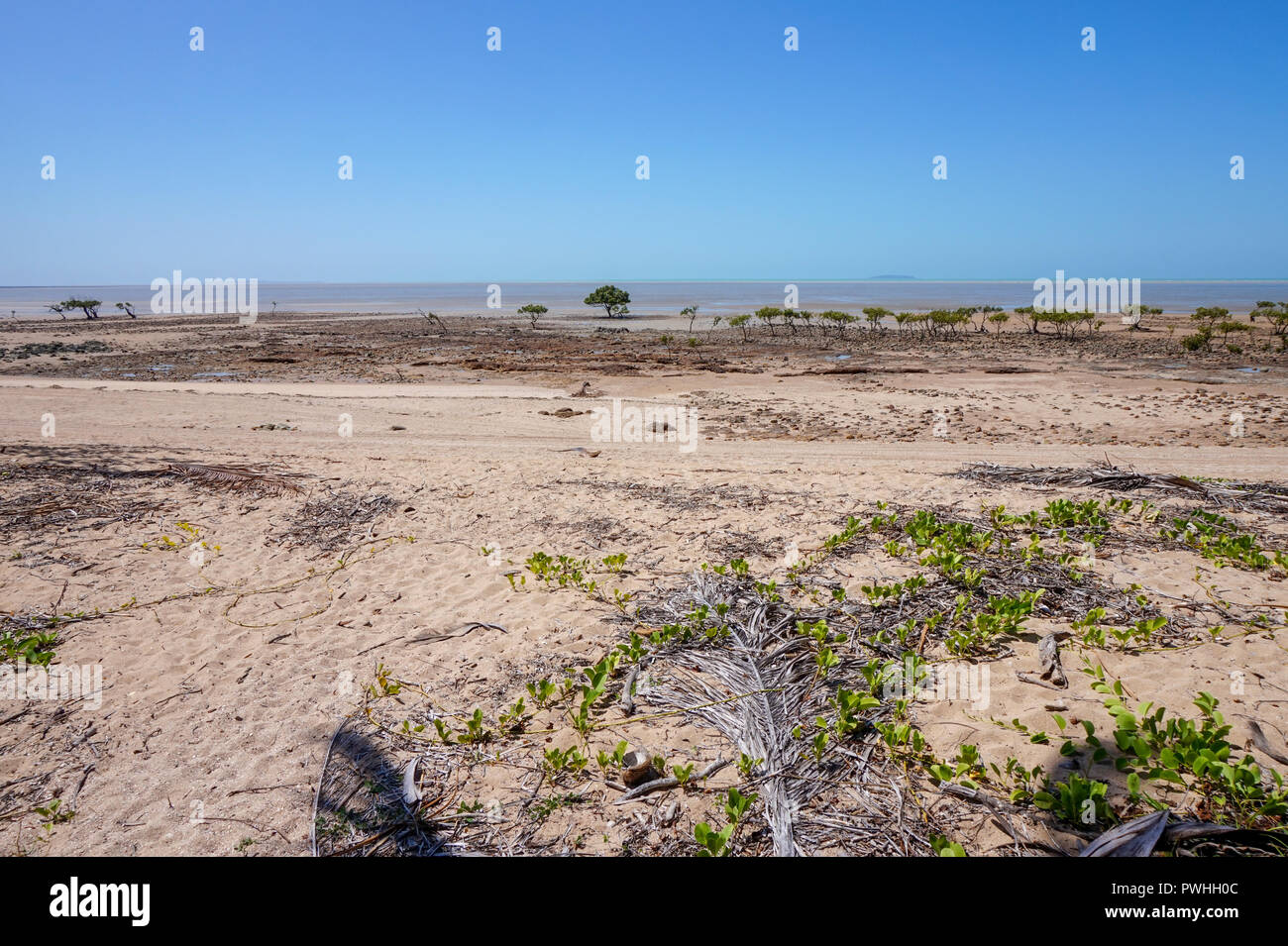 Mccanes hi-res stock photography and images - Alamy