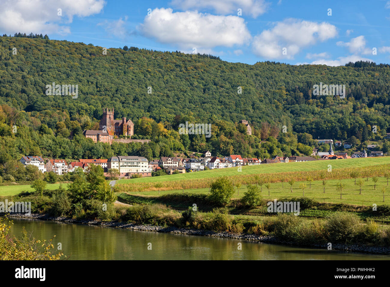 Four-Castle town Neckarsteinach with Mittelburg and Vorderburg castles ...
