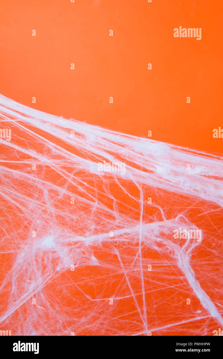 Halloween creepy cobweb spiders web with an orange background Stock ...