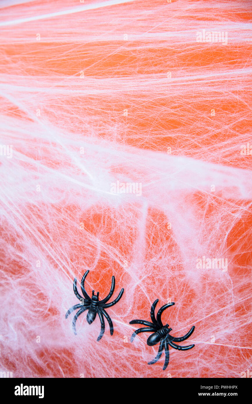 Halloween creepy cobweb spiders web with an orange background Stock ...