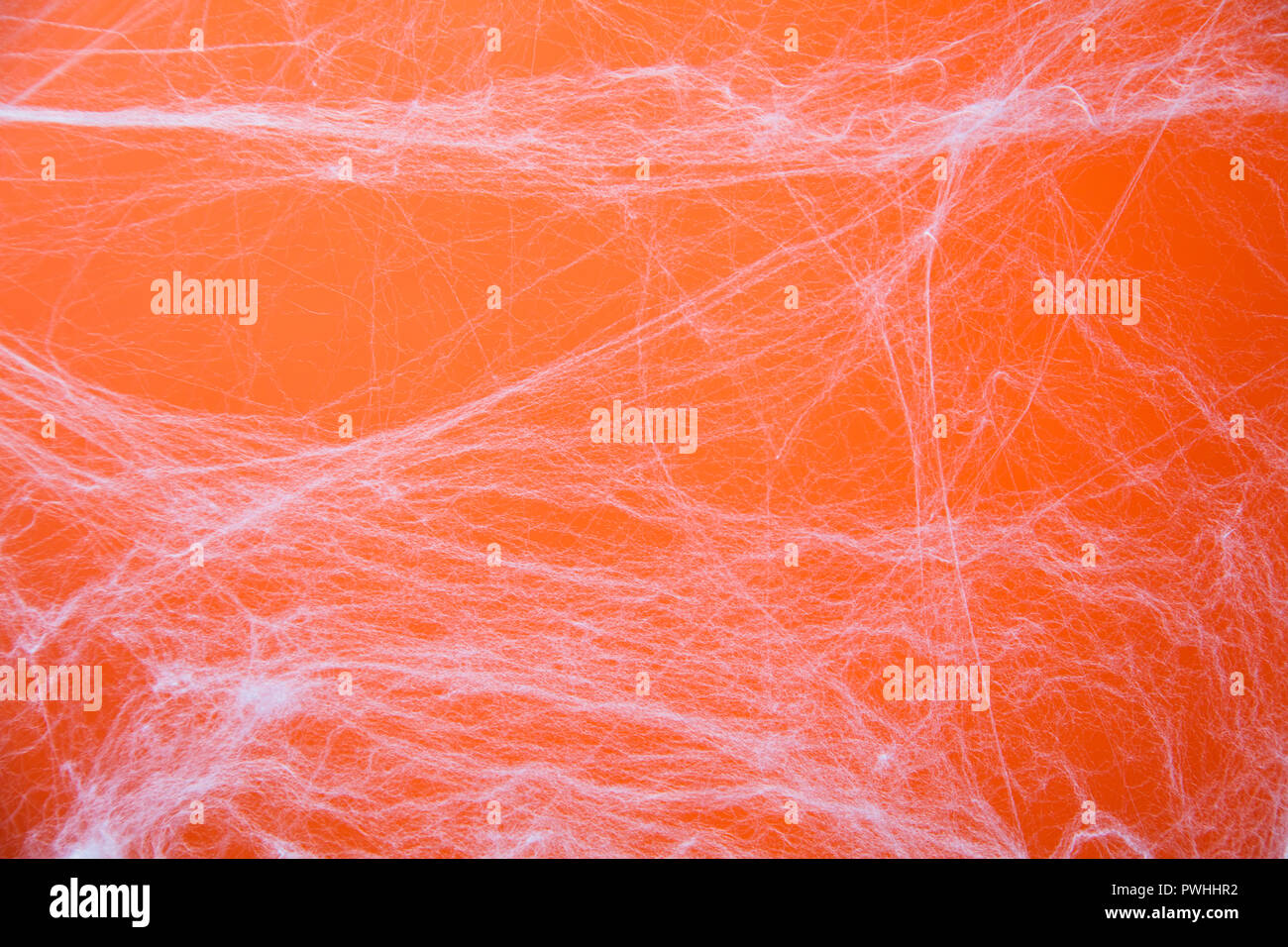 Halloween creepy cobweb spiders web with an orange background Stock ...