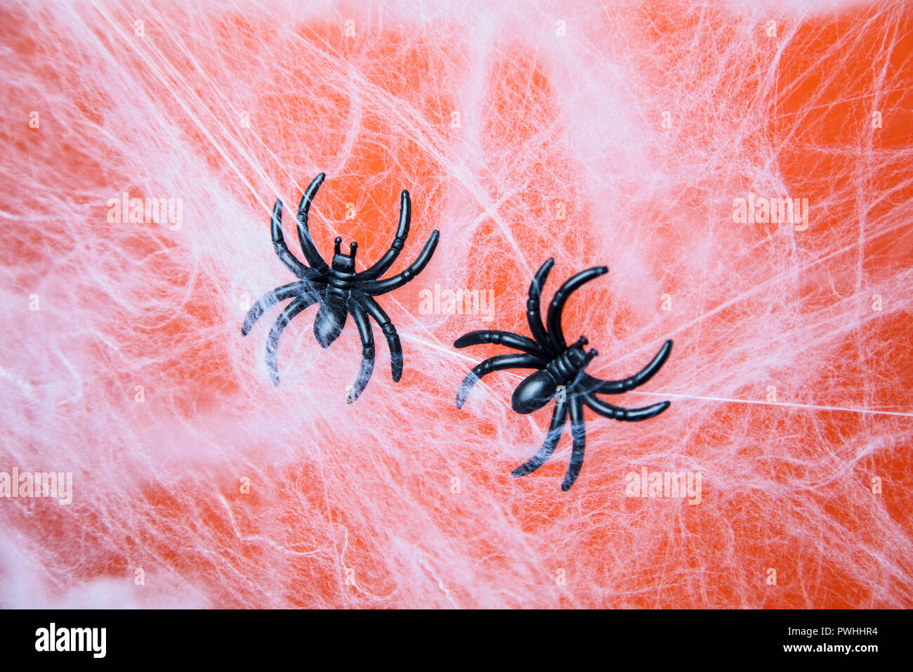 Halloween creepy cobweb spiders web with an orange background Stock ...
