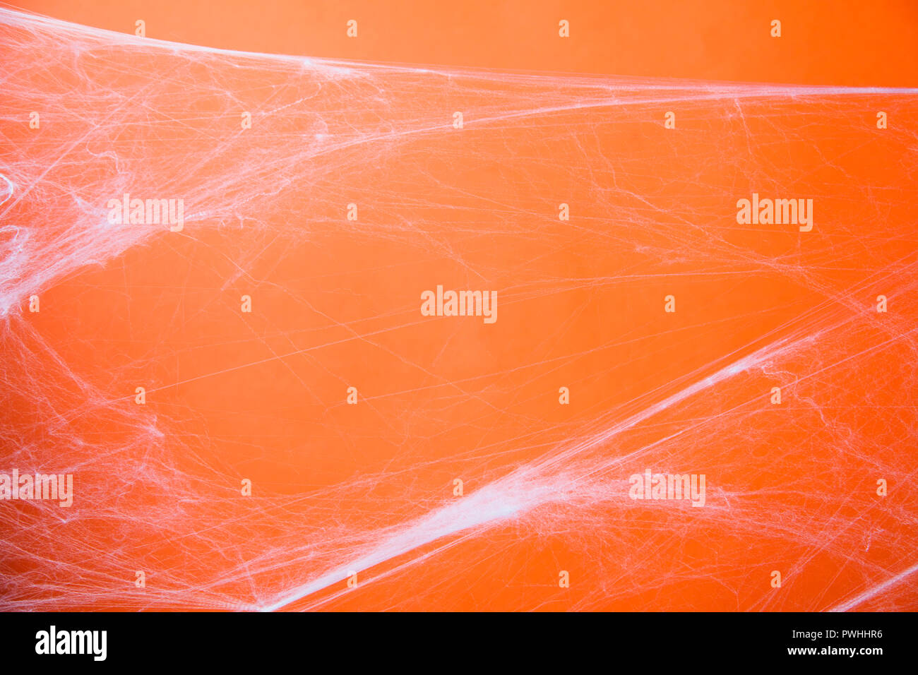 Halloween creepy cobweb spiders web with an orange background Stock ...