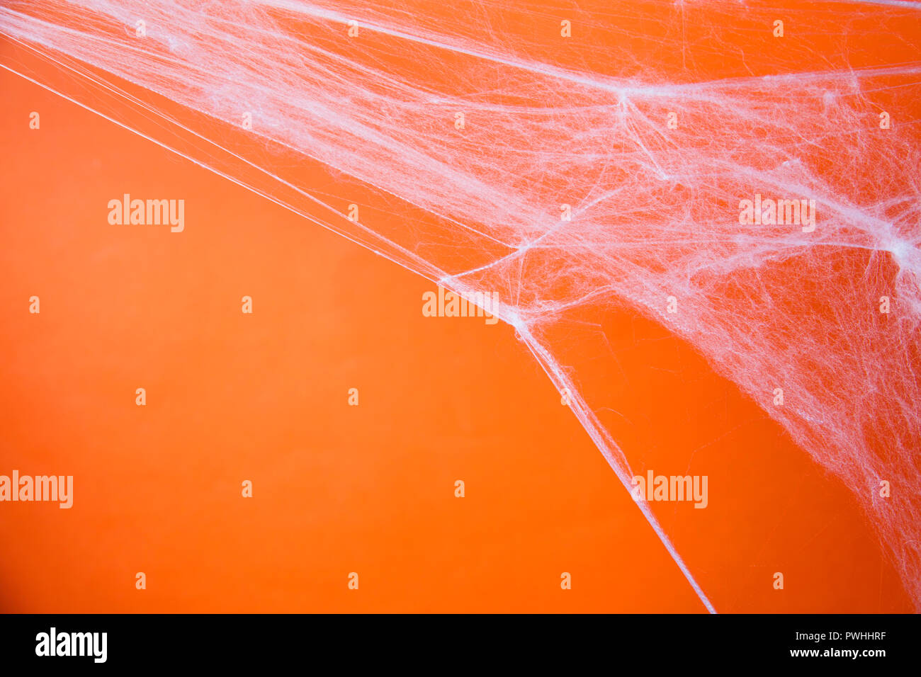 Halloween creepy cobweb spiders web with an orange background Stock ...