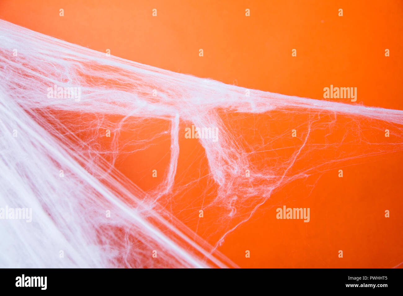 Halloween creepy cobweb spiders web with an orange background Stock ...