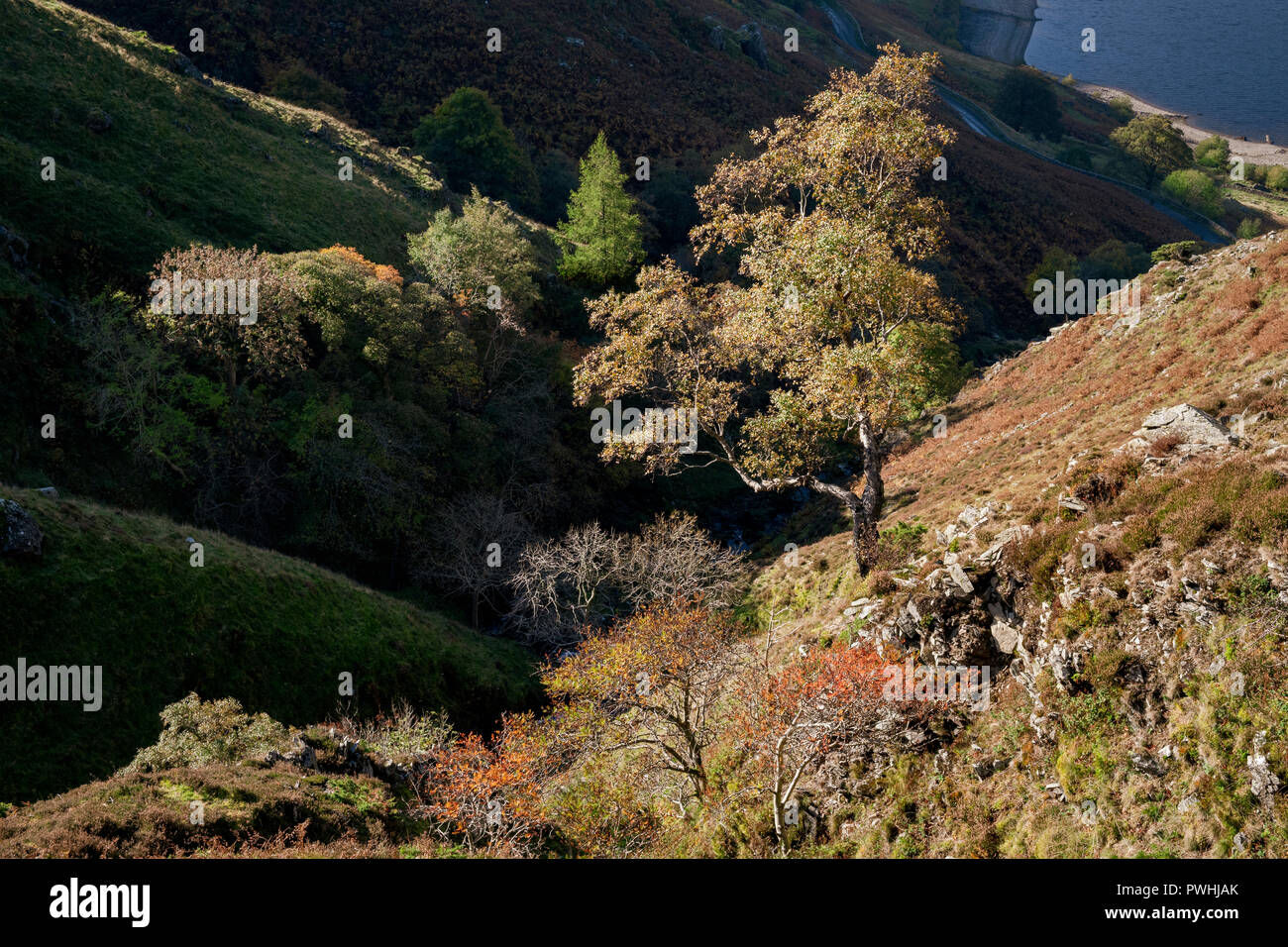 Rowantreethwaite gill hi-res stock photography and images - Alamy