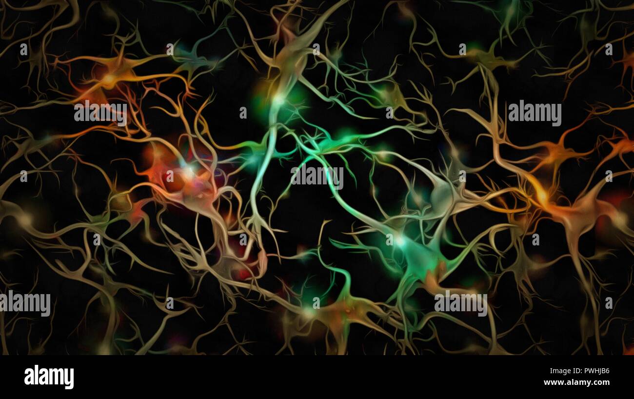 Colorful bright neurons of human brain Stock Photo - Alamy
