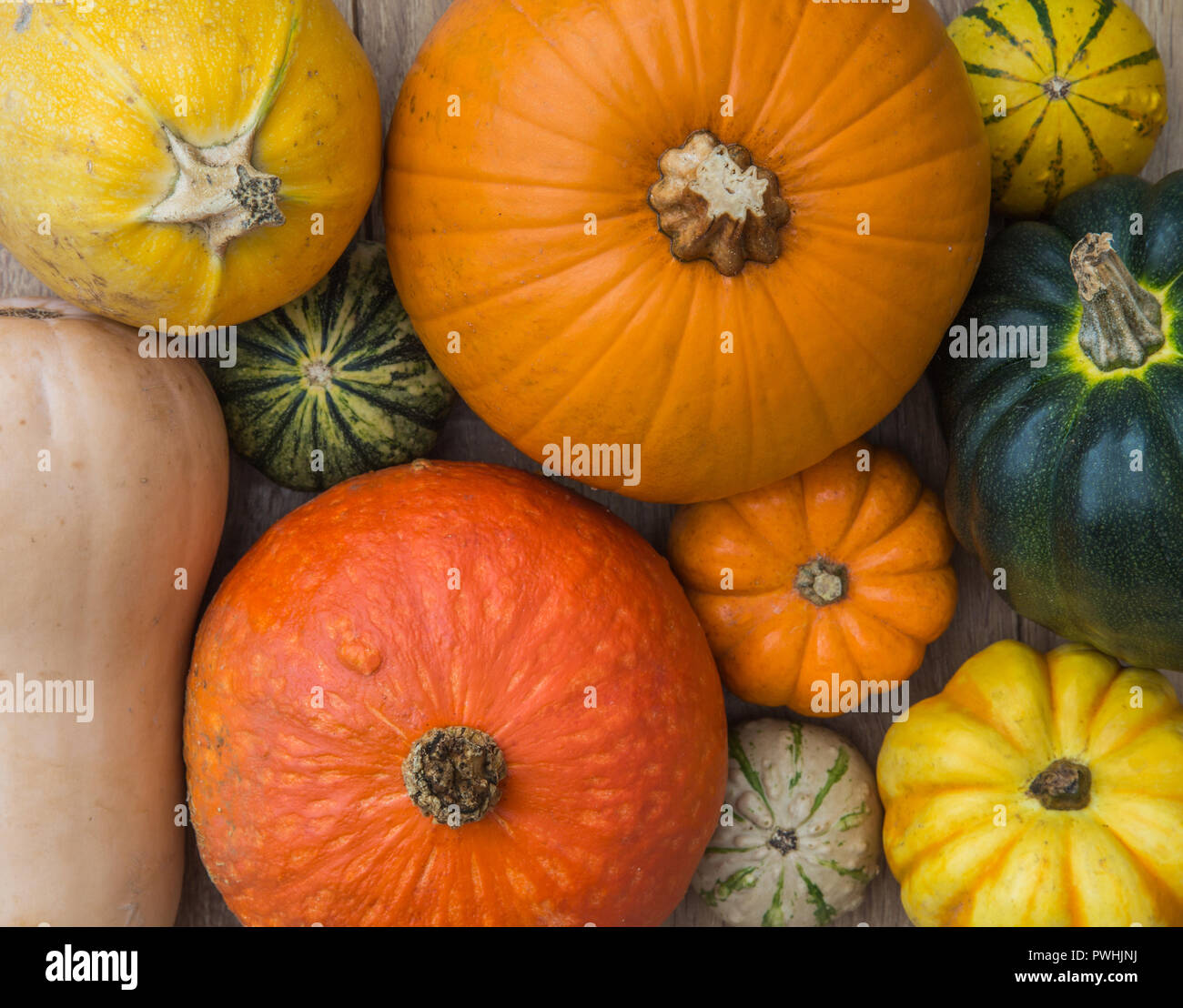 Types of squash hi-res stock photography and images - Alamy