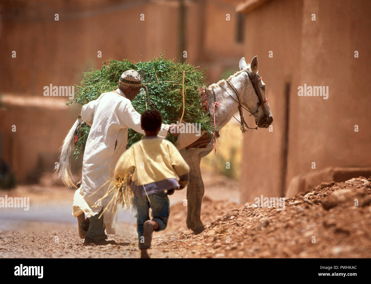 little boy running to help man with donkey Stock Photo - Alamy