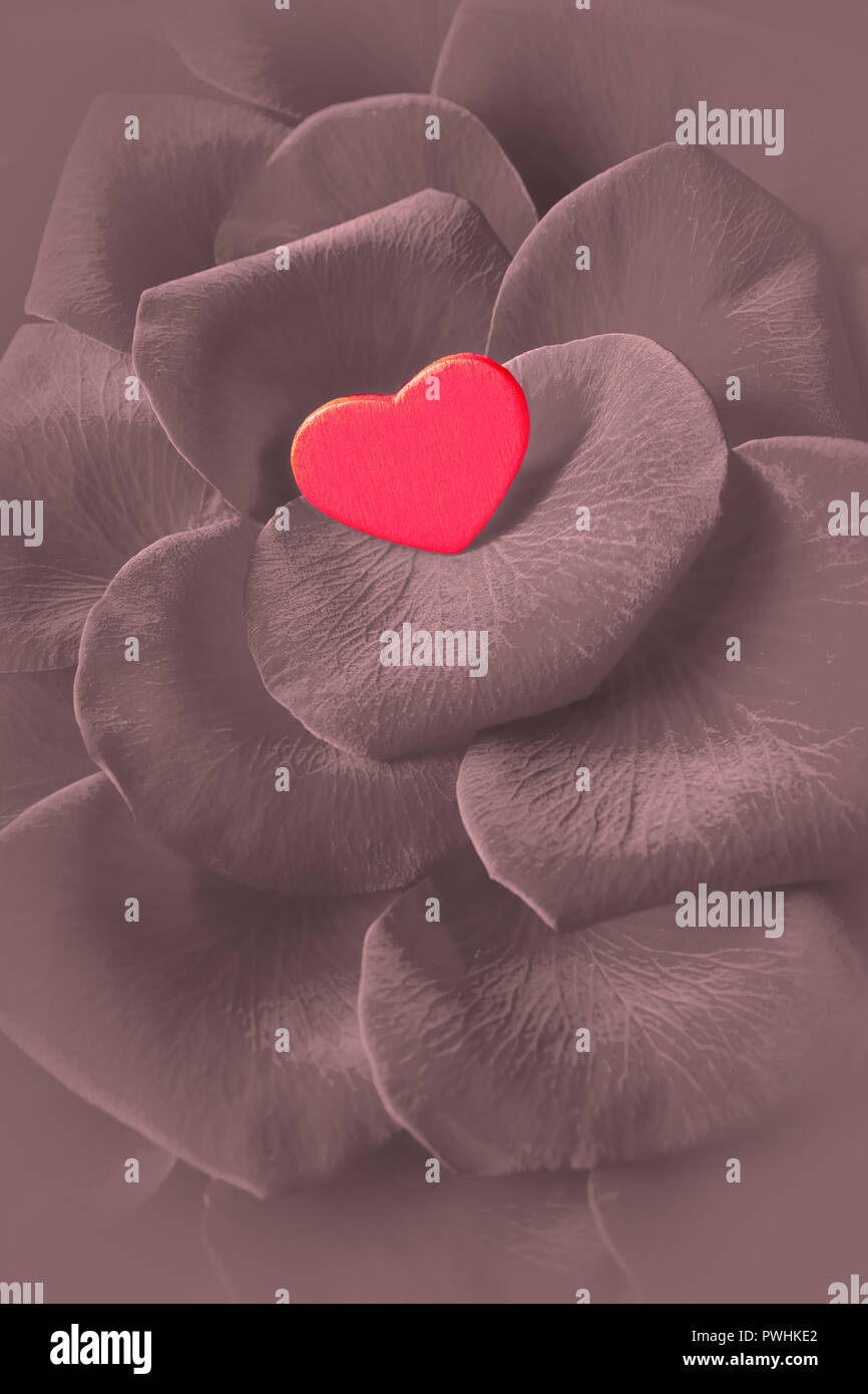 Small red heart on rose flower petals. Romantic background texture for ...