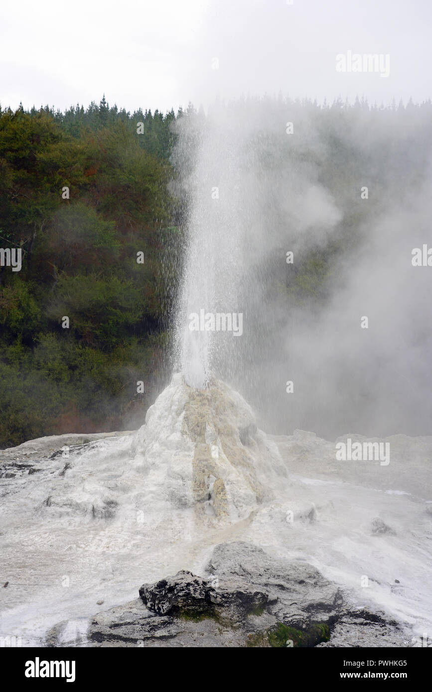 Taupo eruption hi-res stock photography and images - Alamy