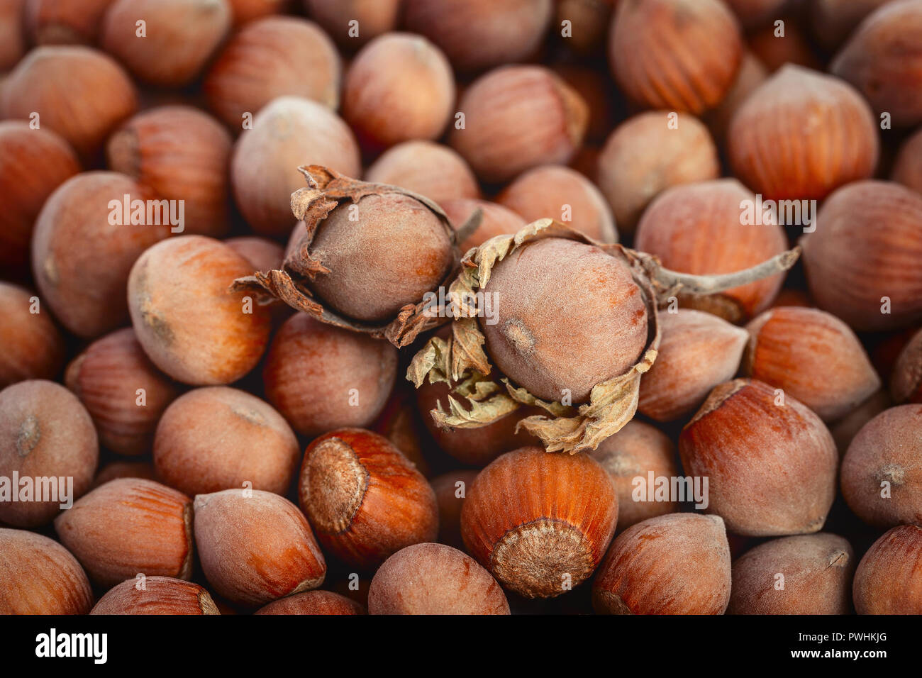 Two unpeeled hazelnuts lie on the background of other nuts Stock Photo ...