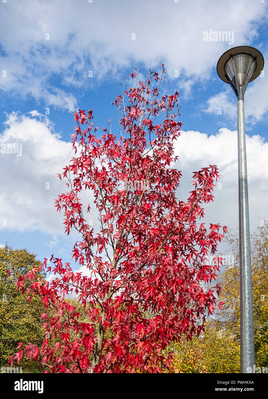 Modern street lamp post uk hi-res stock photography and images - Alamy