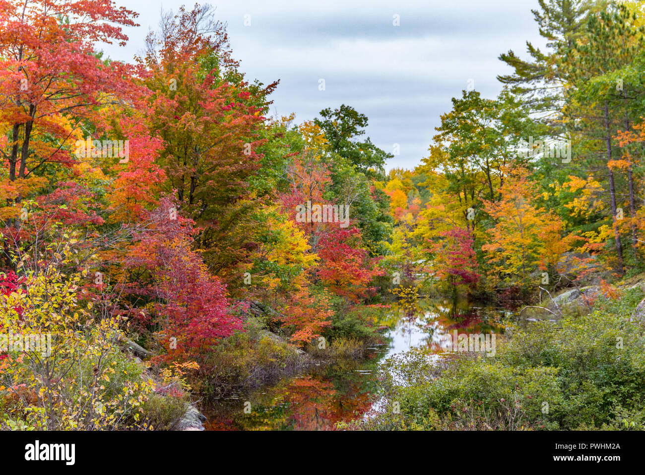 Fall landscape, Scenic Fall Background, Fall in Ontario, Canada ...