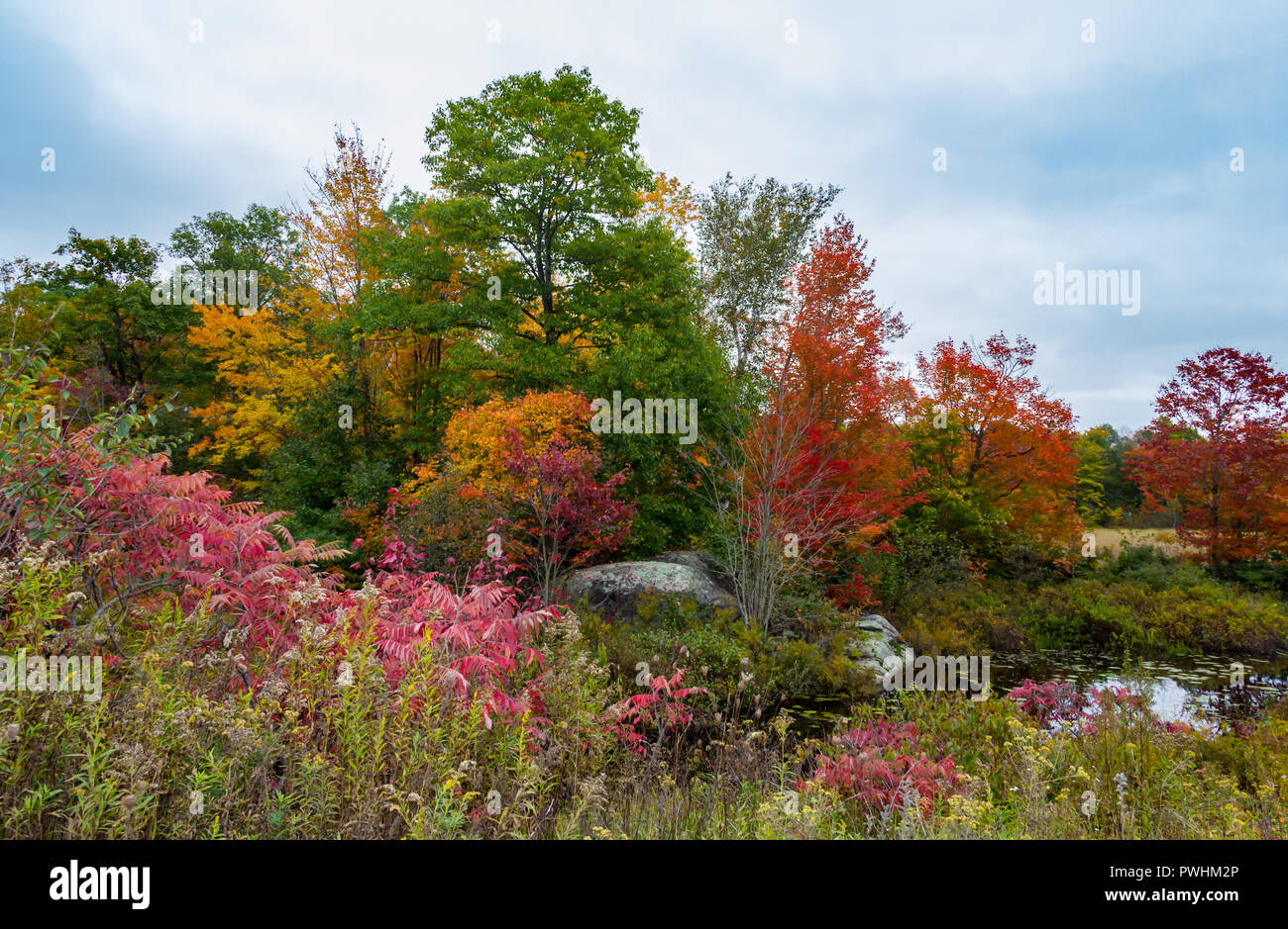 Fall landscape, Scenic Fall Background, Fall in Ontario, Canada ...