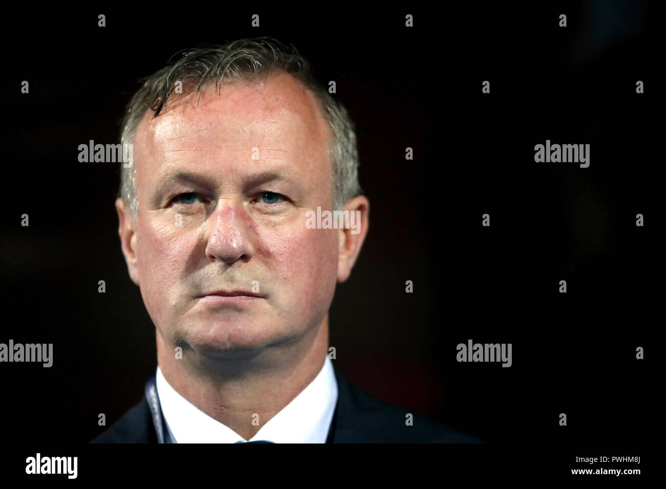Northern Ireland manager Michael O'Neill Stock Photo - Alamy