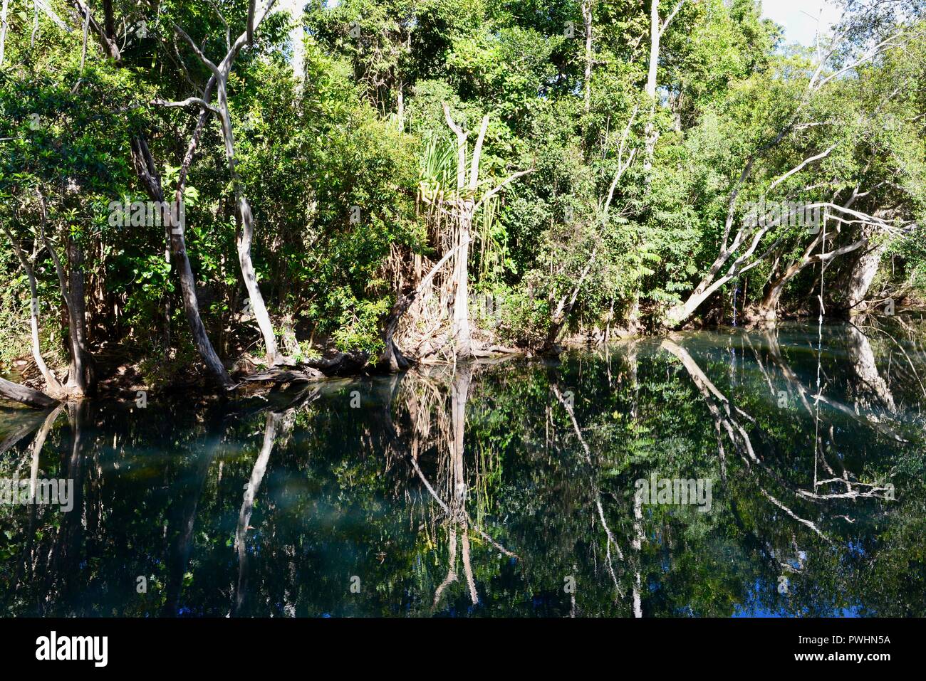 The swimming hole at Five mile creek, Cardwell, Queensland, Australia ...