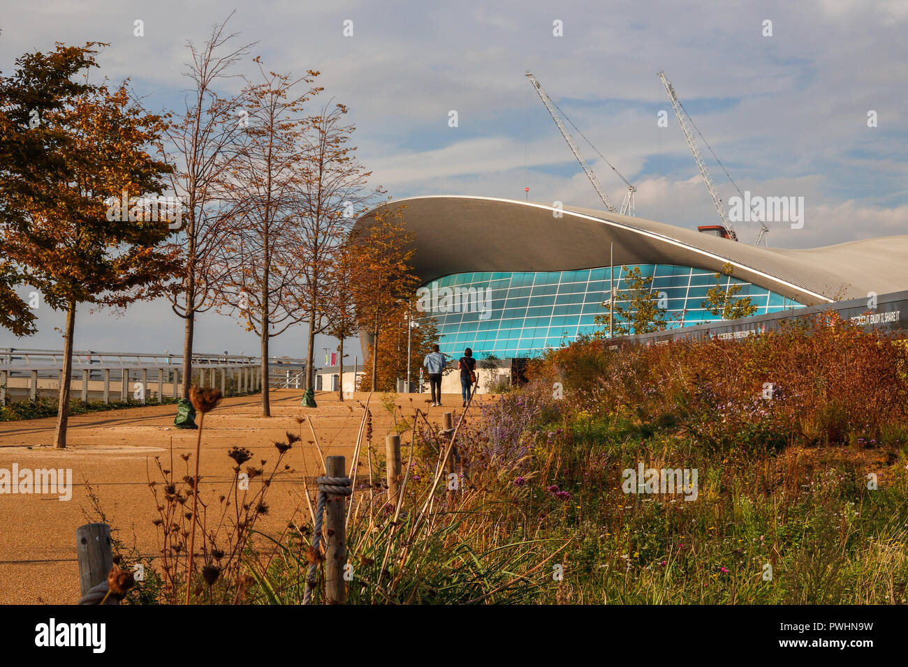 The Aquatics Centre, Queen Elizabeth Olympic Park designed by Zaha ...