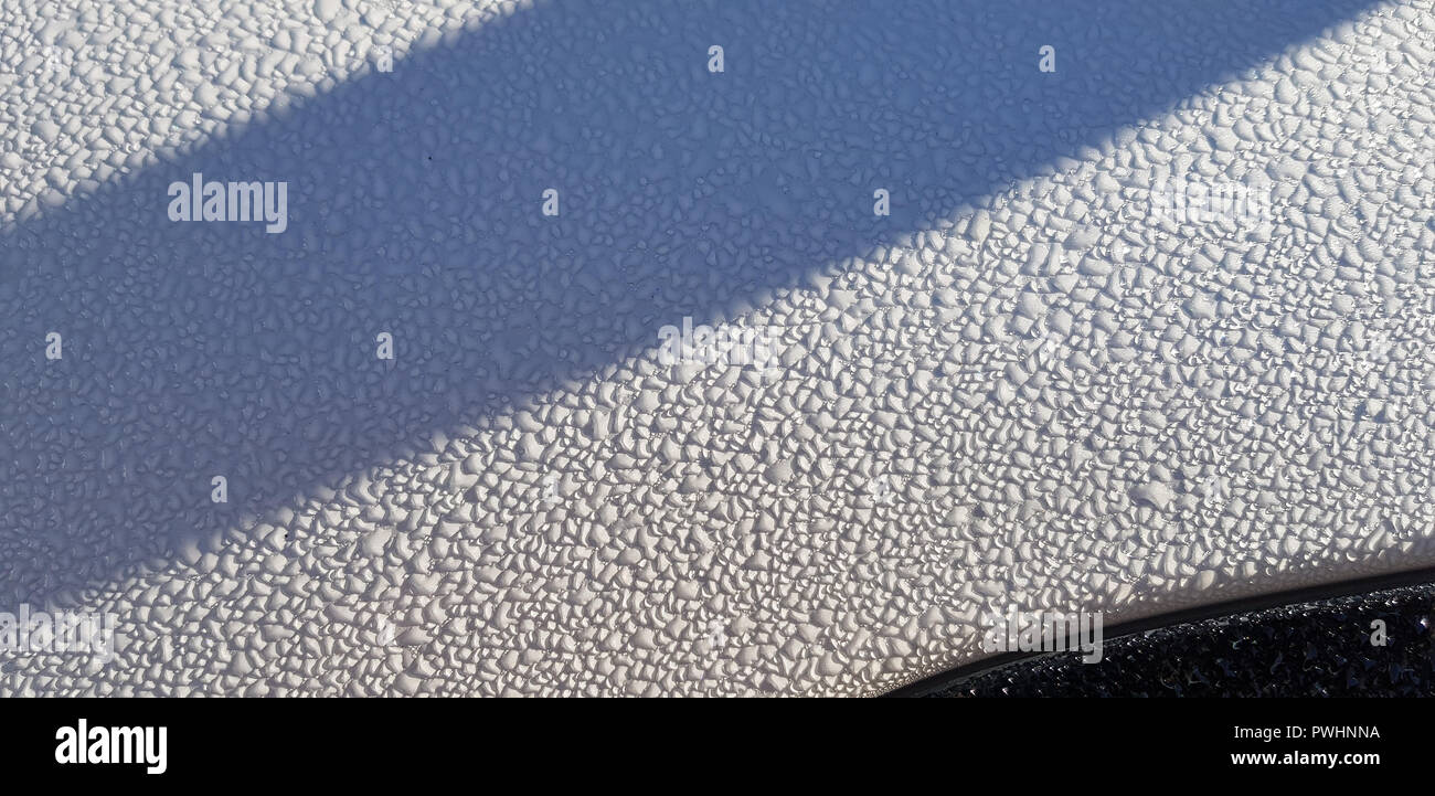 Pattern, texture and shadow on a wet surface. White background Stock ...