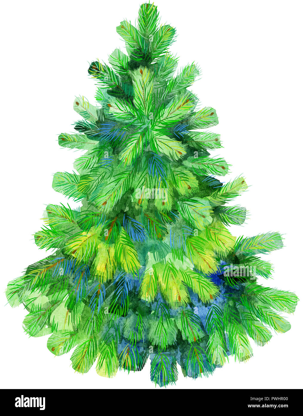 Watercolor christmas tree. Isolated pine tree illustration Stock Photo ...