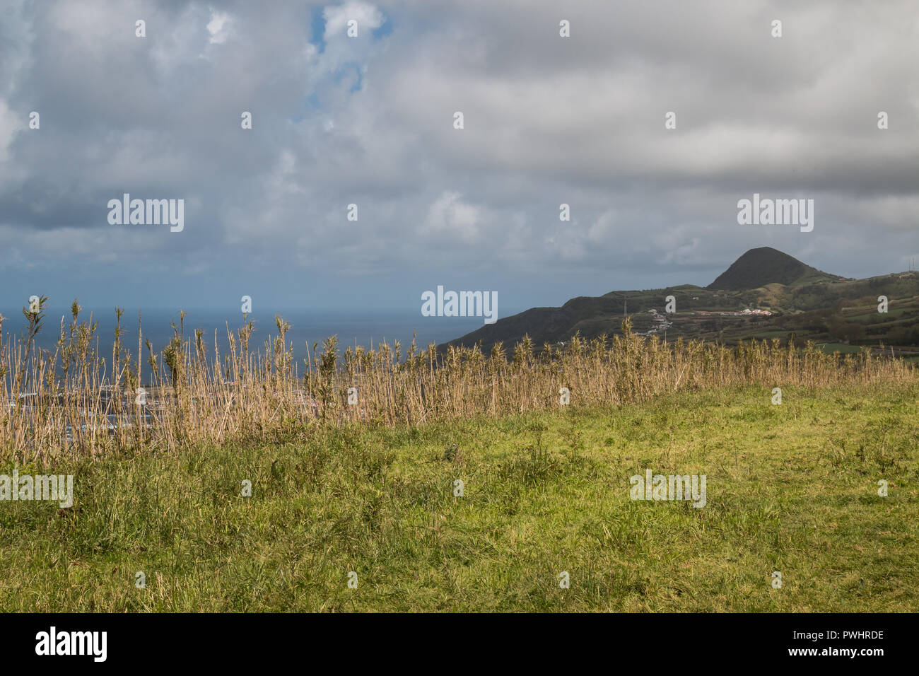 Spring field lined by crane on its edge. Cliffs and a hill in the ...