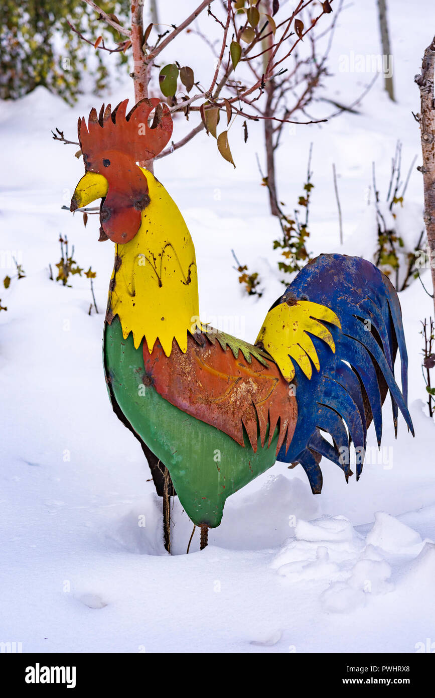 Rooster hi-res stock photography and images - Alamy