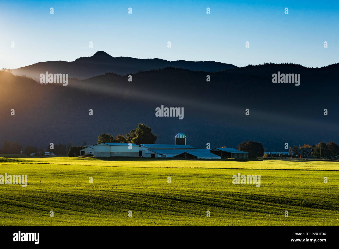 Fraser valley farm hi-res stock photography and images - Alamy