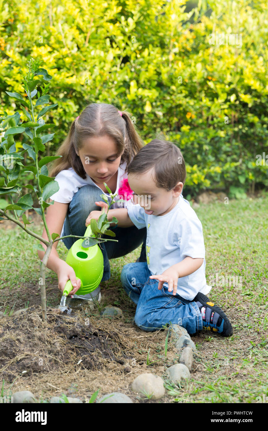 Children planting tree in park hi-res stock photography and images - Alamy