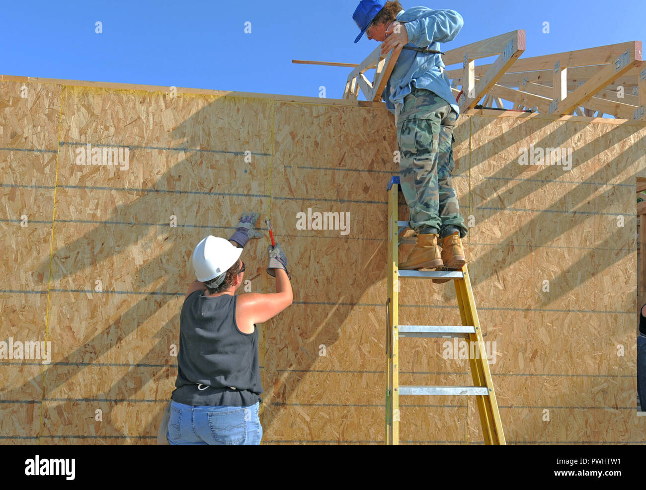 Women Carpenters, Women building homes Stock Photo - Alamy