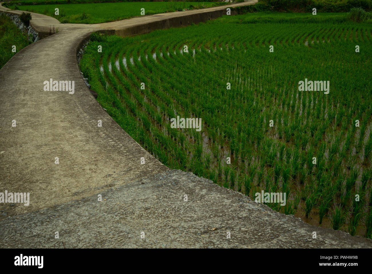 Rice lands hi-res stock photography and images - Alamy
