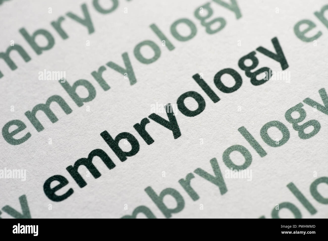 Embryology hi-res stock photography and images - Alamy