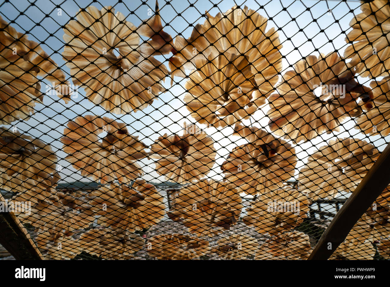 Fish drying on wooden rack hi-res stock photography and images - Alamy