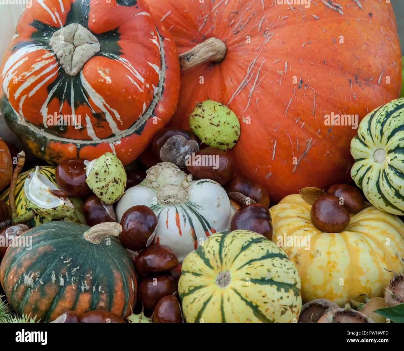 Autumn Bounty, West Sussex Stock Photo - Alamy