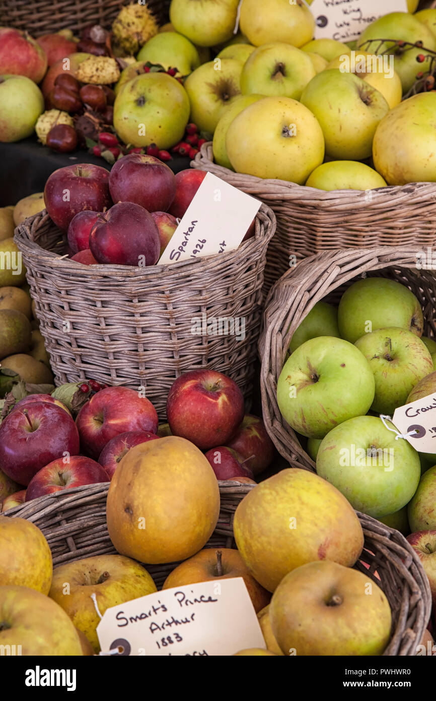 Baskets full of Apples Stock Photo - Alamy