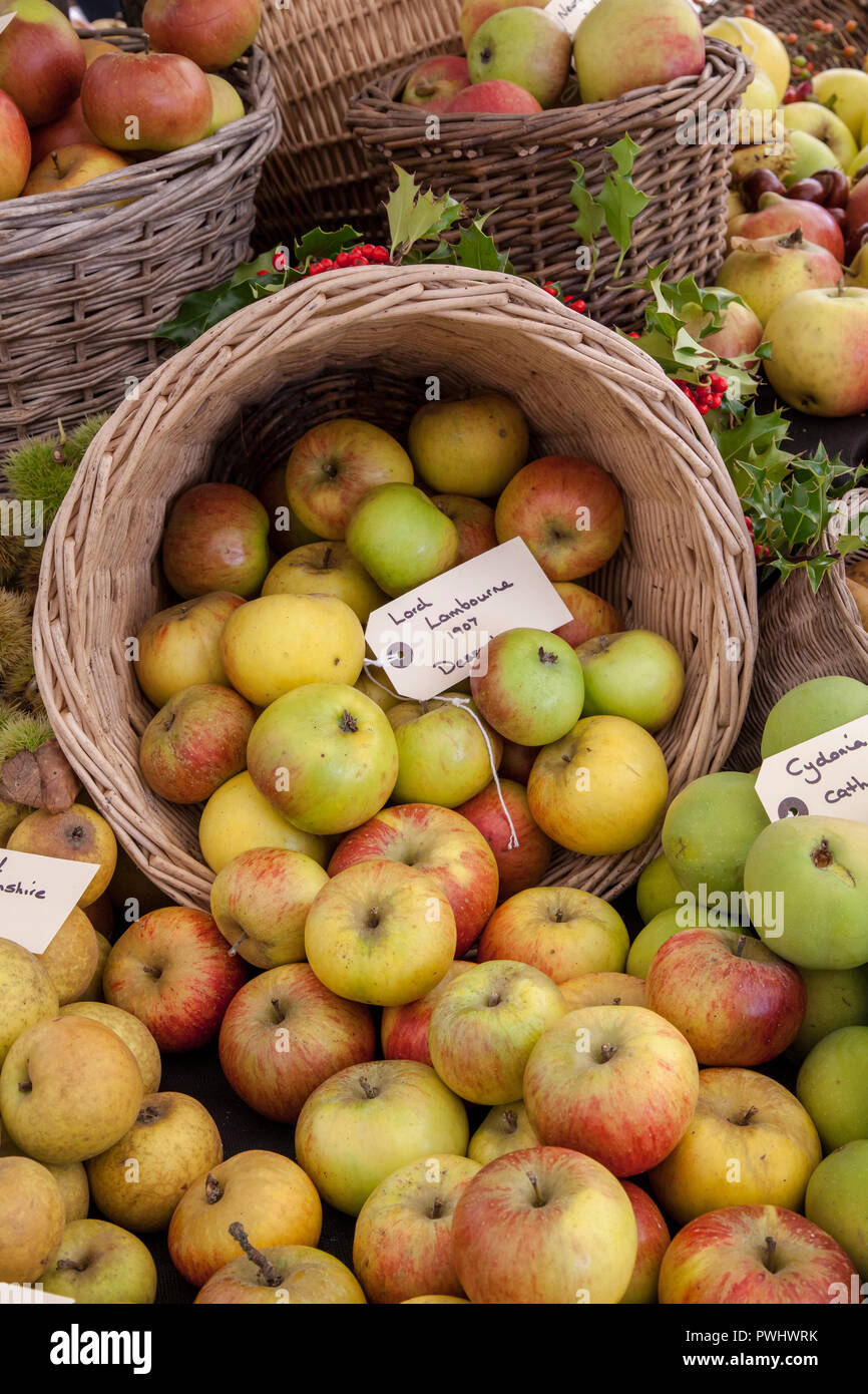 Baskets full of Apples Stock Photo - Alamy