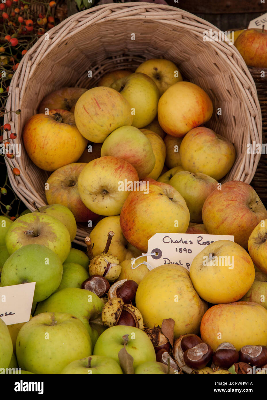 Baskets full of Apples Stock Photo - Alamy