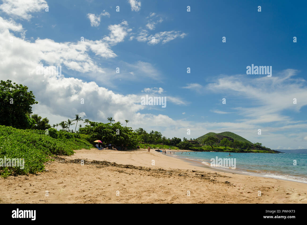 Green beach in Hawaii Stock Photo - Alamy