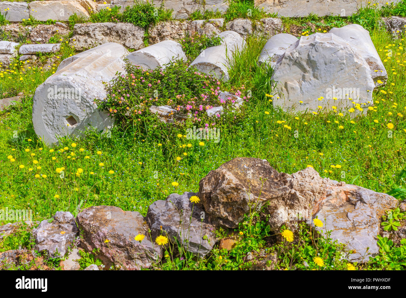 Ancient columns and flowers hi-res stock photography and images - Alamy