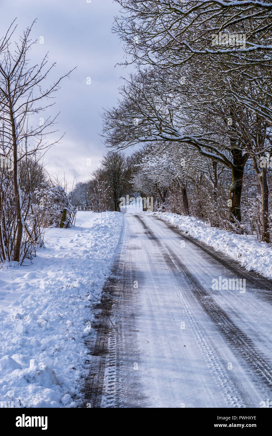 Asphalt road through snow hi-res stock photography and images - Alamy