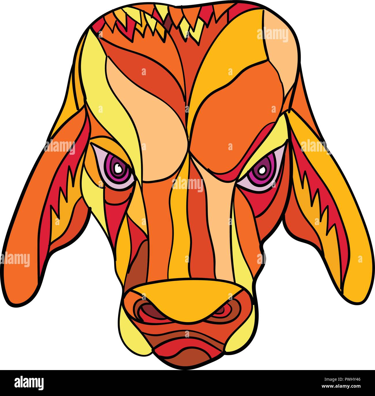 Brahman bull Stock Vector Images - Alamy