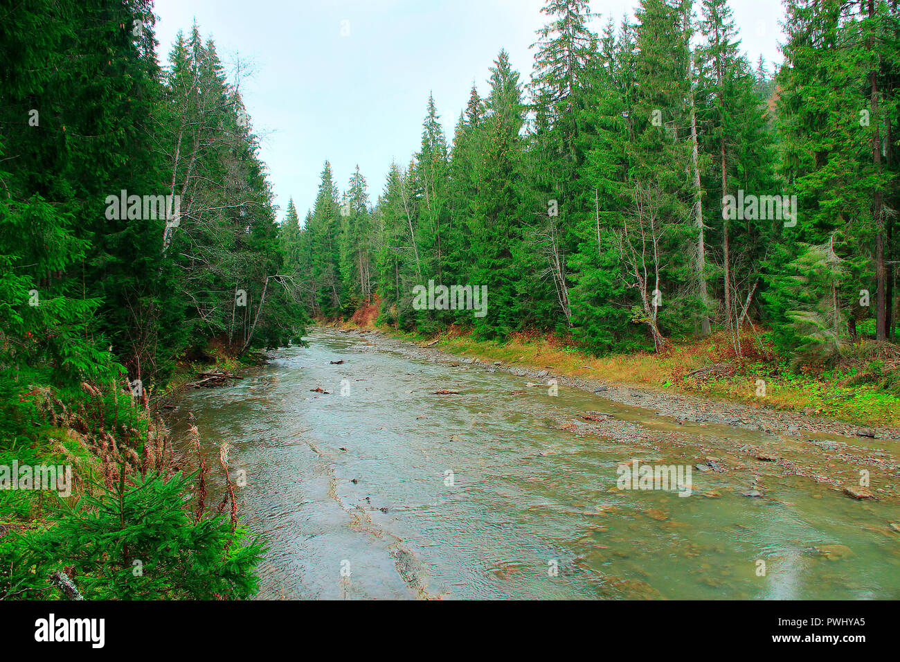 Shallow mountain river fast flow hi-res stock photography and images ...