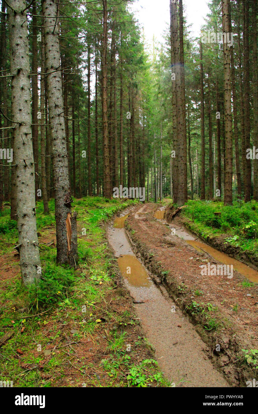 Mud muddy rain rainy High Resolution Stock Photography and Images - Alamy
