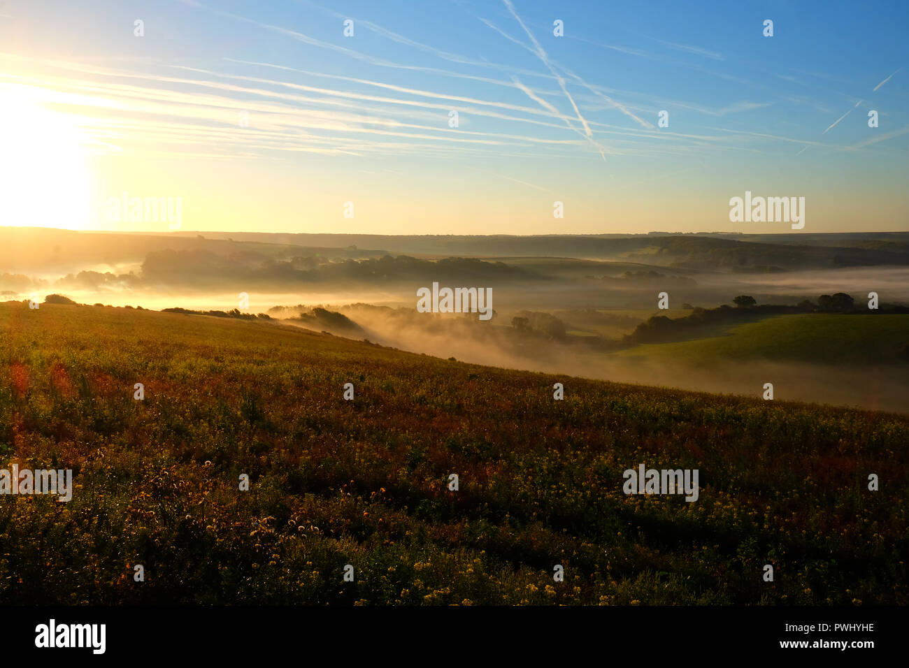 Cuckmere valley, East Sussex, United Kingdom, UK, covered in mist in ...