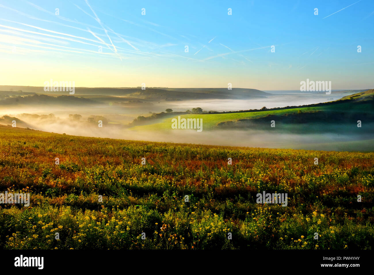 Cuckmere valley, East Sussex, United Kingdom, UK, covered in mist in ...